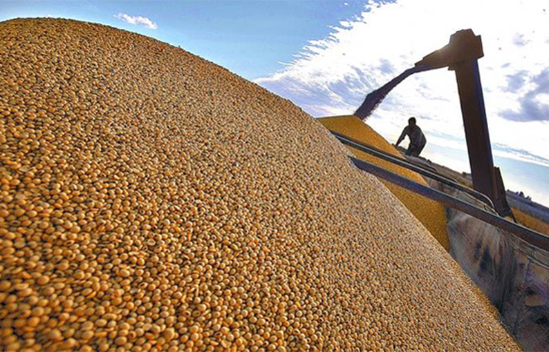 BAYER: aseguran que INTACTA es la mejor solución ante el desafío de ...